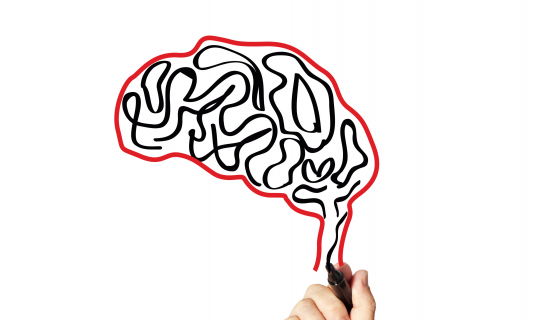 Understanding the brain structure